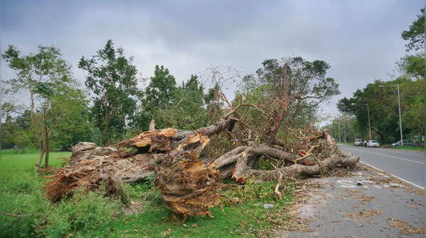 Cyclones in India: 10 deadliest cyclones that hit India in past