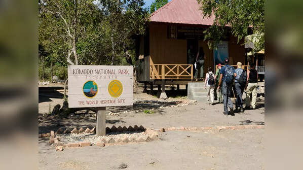 Meeting the prehistoric Komodo dragons at Indonesia’s Komodo National Park