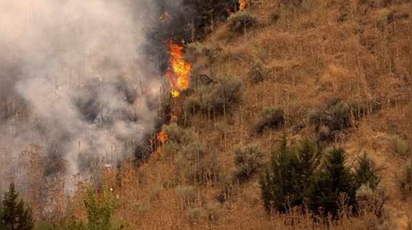 Wildfires ravage US and Canada, burn thousands of square miles, prompt ...