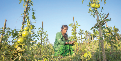 Profound farm finding in Magadi: Put in crap, and you’ll get good crop