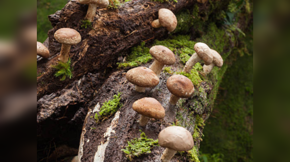 Bokep vinagarut therefore exercise patience, she will be