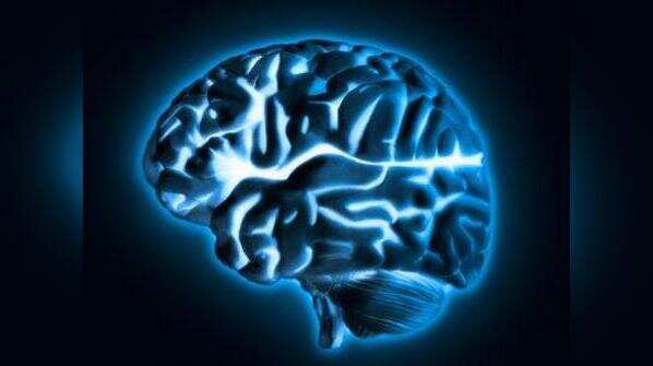 New technique lets you capture entire brain's activity in a snapshot