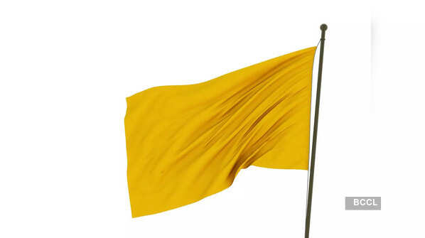 Here are all the relationship flags you must know about