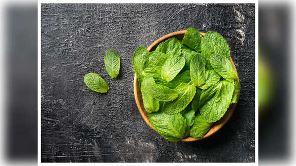 Difference between Mint and Peppermint
