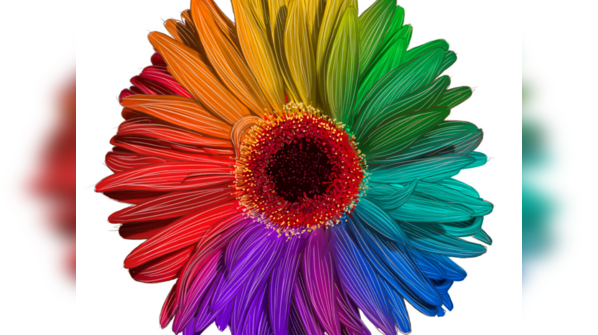 Colour psychology: Choose your favourite colour and we will tell the ...
