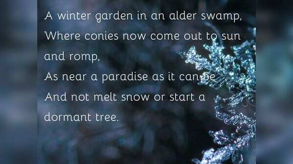 10 poems that perfectly resonate the spirit of winter