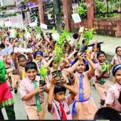 Ryan students undertake go green rally