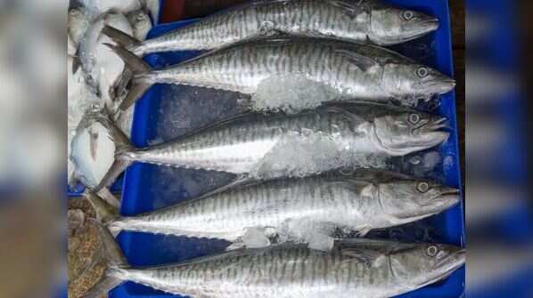 10 healthiest Indian fish varieties and why you must have them