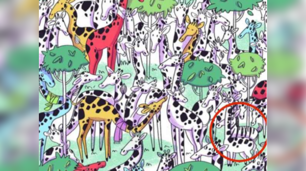 Optical Illusion: Spot the hidden zebra in 15 seconds