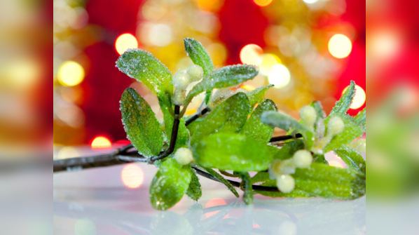 Why do people kiss under the mistletoe on Christmas?
