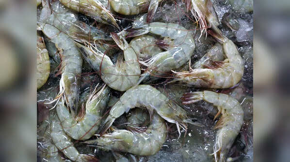 This is the right way to choose and clean Prawns before cooking