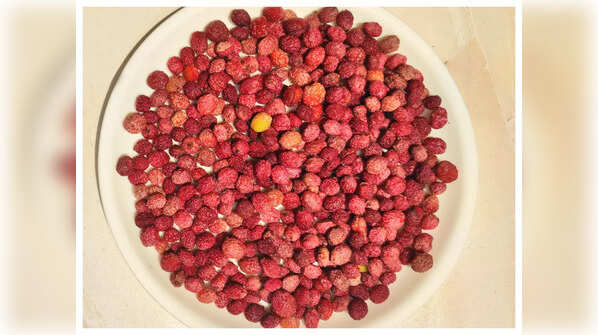 Kafal Health Benefits: This fruit from Uttarakhand is loaded with benefits