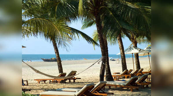 10 top coconut producing countries in the world