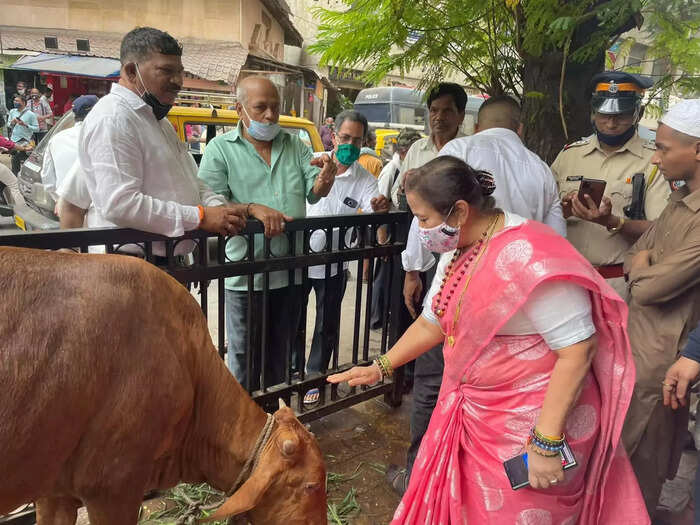 Mumbai: CM Thackeray to inaugurate two new Metro lines on Gudi Padva on ...