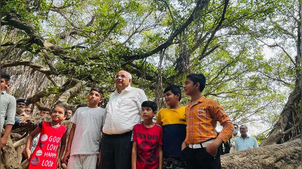 Photos: This 500-year-old tree to be developed as tourist spot in Gujarat