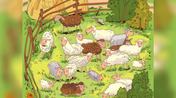 Optical Illusion: Spot the hidden zebra in 15 seconds