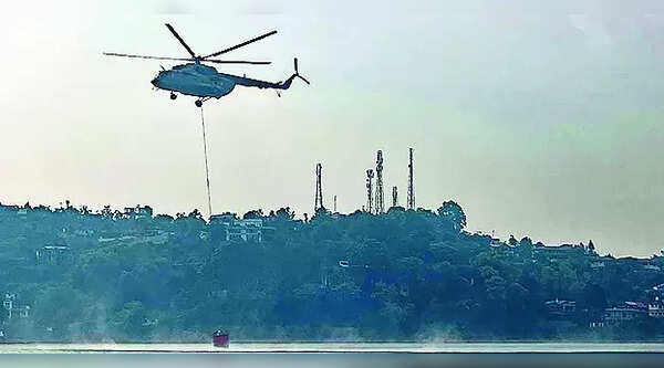 Nainital wildfires: Photos of devastating Uttarakhand forest fires; no ...