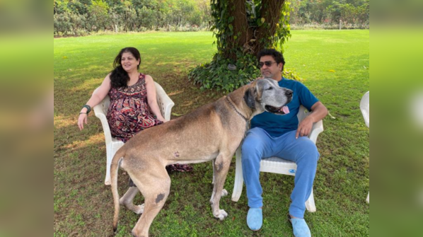 Raj Thackeray dog James passes away; MNS chief bids teary goodbye