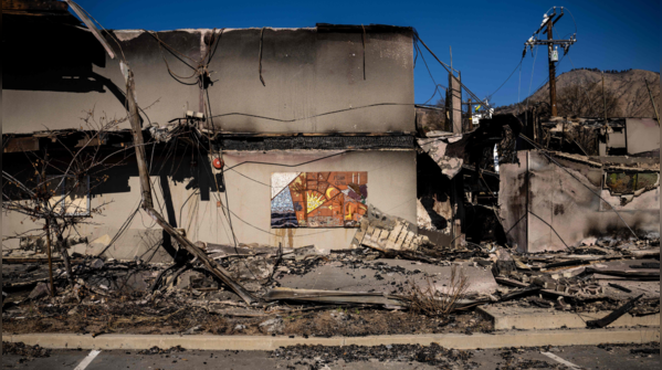 Aerial view captures the aftermath of wildfires in Los Angeles