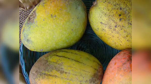 Types of Mangoes in India: 15 famous mango varieties in India and how ...