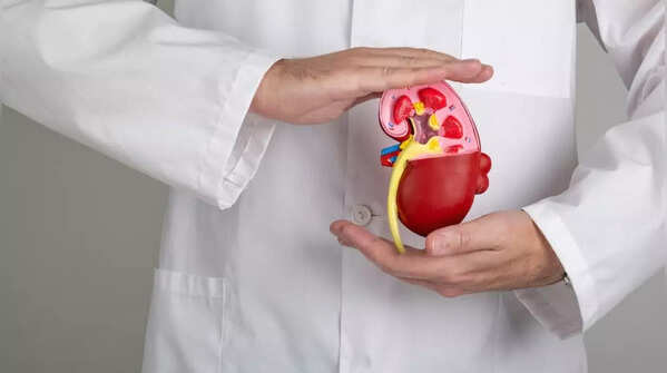 Kidney damage is silent, until it's permanent: 7 red flags you must not ...