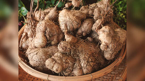 Chhath Puja 2023: 6 foods that are a must-include in the Chhath Soop