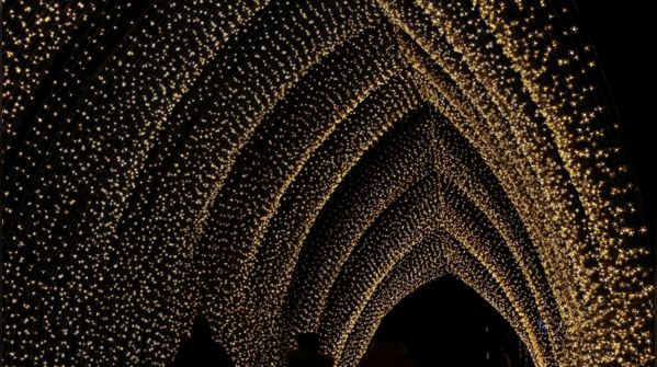 Christmas at Stourhead: Stunning displays, dazzling lights, and a ...