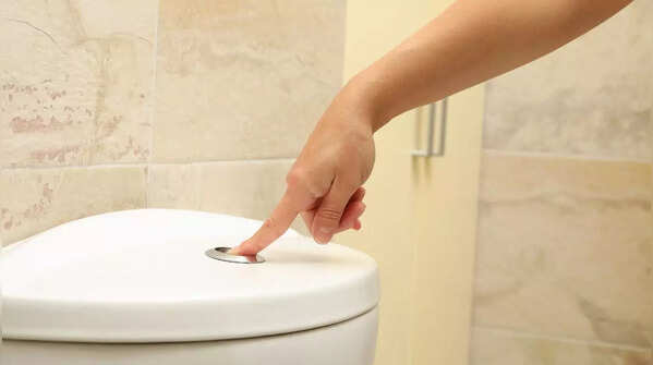 Why the toilet flush has one large and one small button