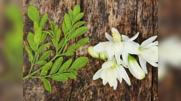 How to make nutritious Moringa flower sabzi