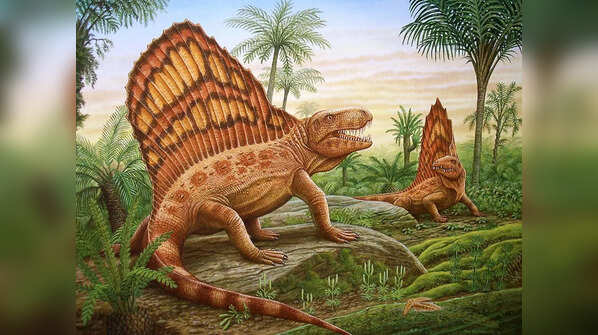 7 animals that lived before the dinosaurs