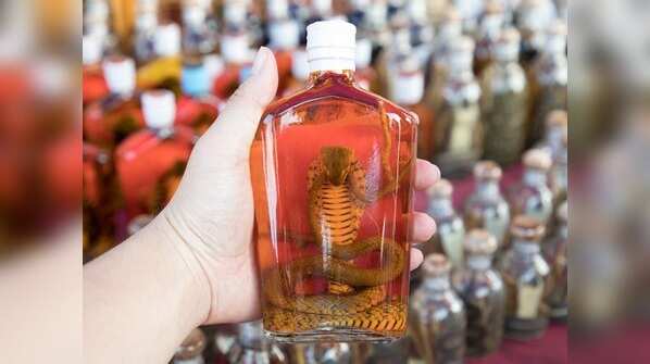 What is Snake Wine and everything you should know about it