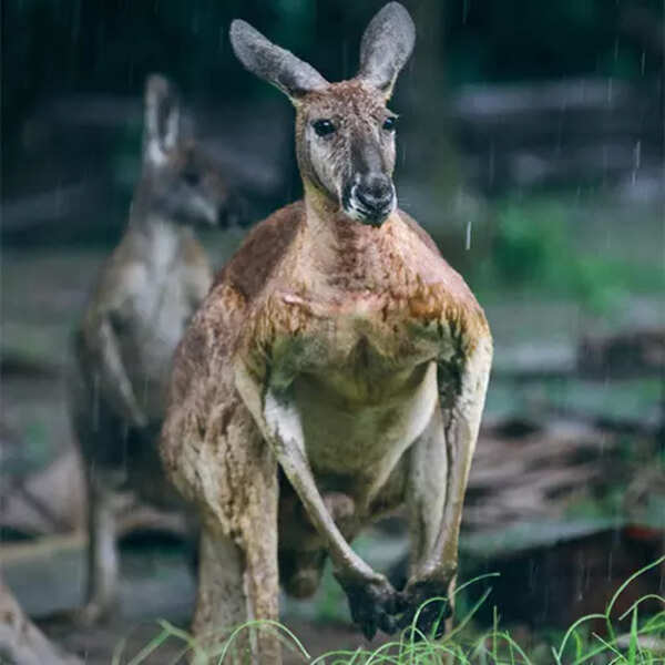 News - Latest News, Breaking News, Bollywood, Sports, Business and ...