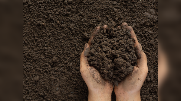 Types of soils found in India and their importance