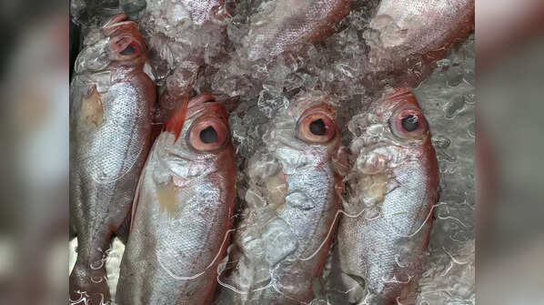 Quick and easy ways to defrost frozen fish at home