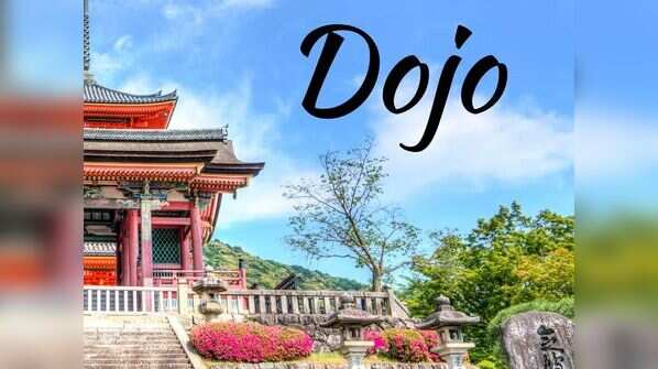 Did you know these English words were originally Japanese?