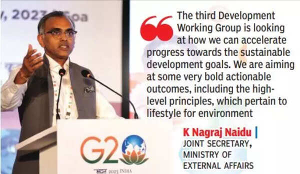 Goa: G20 group to discuss action plan to push sustainable development ...