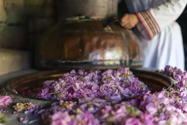 Let Indian perfumes do the talking - Times of India