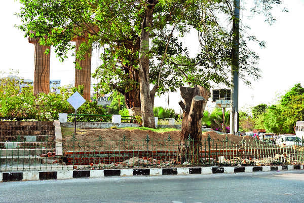 Chhani’s Iconic Vad Sculpture Obscured By Wild Vegetation | Vadodara ...