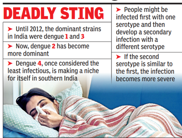 Dengue evolved, variants not same as ones used for making vaccines ...