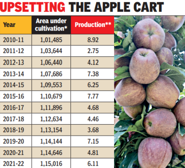 Apple: Apple No Longer Sweet & Juicy Crop For Growers As Yield Dips ...