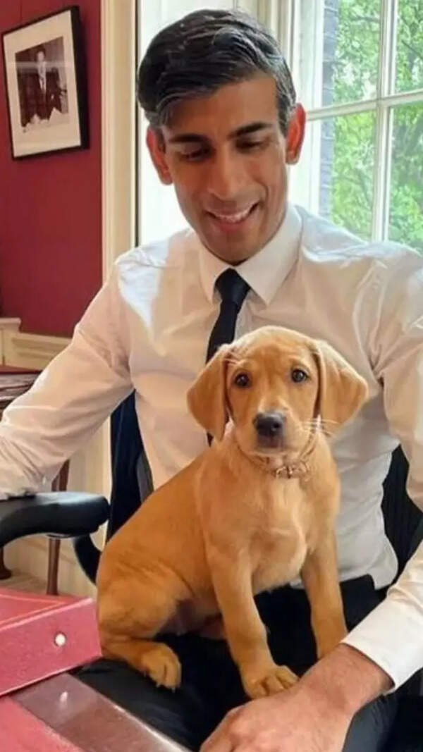 Actor Vishal Mohan to star in sequel of Rani Mukerji-starrer 1998 film ...