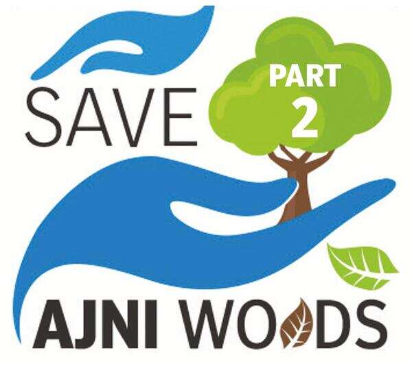 Ajni Van: Plan Scrapped After Ajni Van Protests Is Back, Lament Greens ...