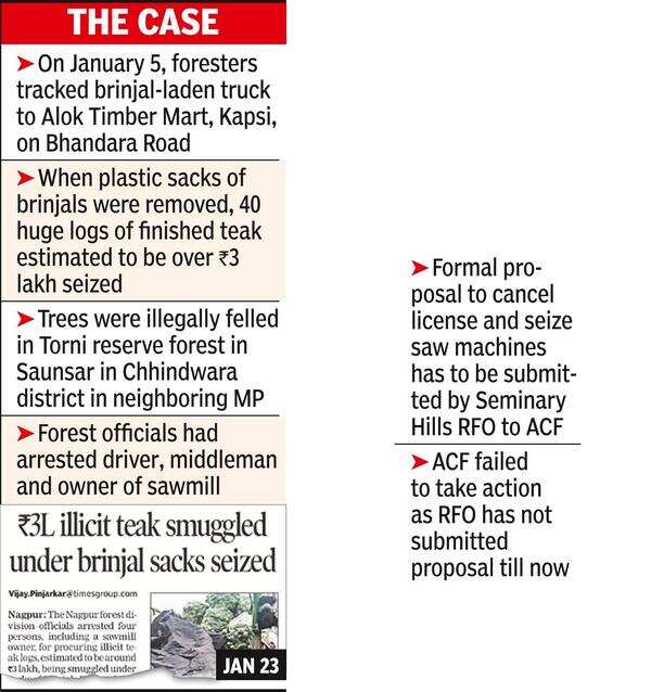 Foresters Going Soft On Erring Sawmill, Fail To Cancel Licence | Nagpur ...