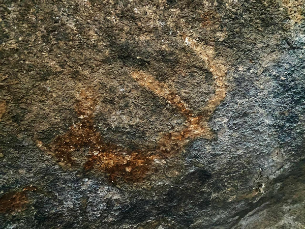 Found in Gujarat forest: 5,000-year-old civilization set in stone ...