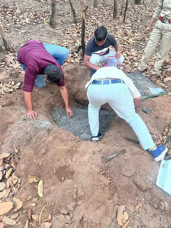 Bandhavgarh Tiger Reserve employees booked for burning dead elephant ...