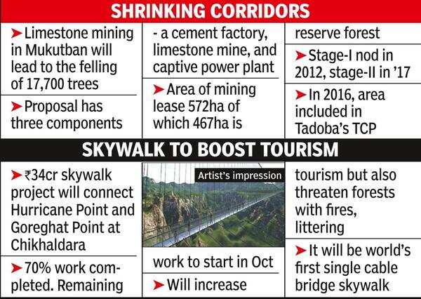 Limestone Mining Project Approved In Tiger Corridor | Nagpur News ...