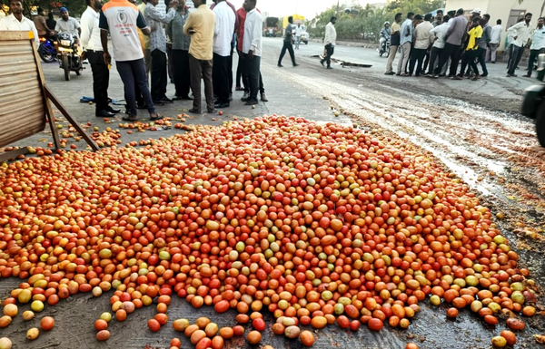 Farmers: Nashik farmers dump tomatoes on roads as prices crash | Nashik ...