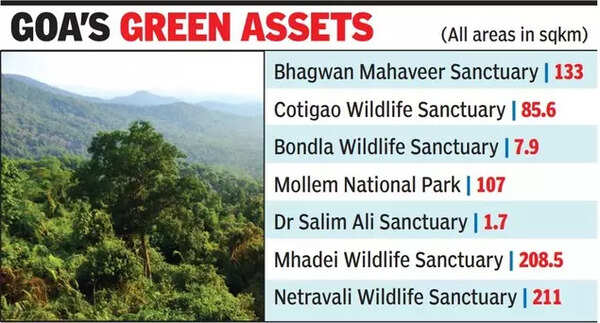State’s forest mgmt plans out of 50-year hibernation | Goa News - Times ...