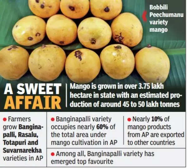 No ‘brand Ap’ Mango In Market For Decades | Visakhapatnam News - Times ...