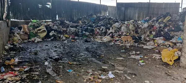 As summer tourism surges, waste generation starts mounting in hills ...